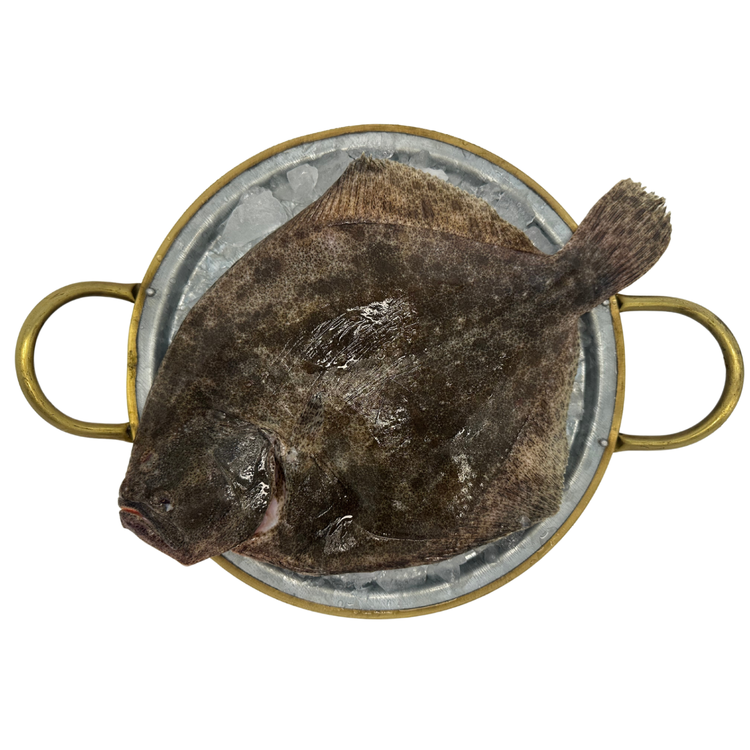 Comprar Rodaballo online a domicilio - Saborea Huelva