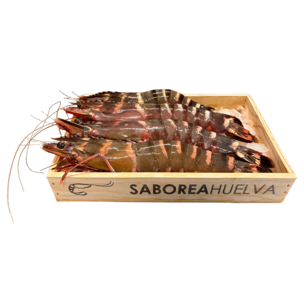 Langostino Jumbo: Compra Online langostino salvaje| Envío 24h